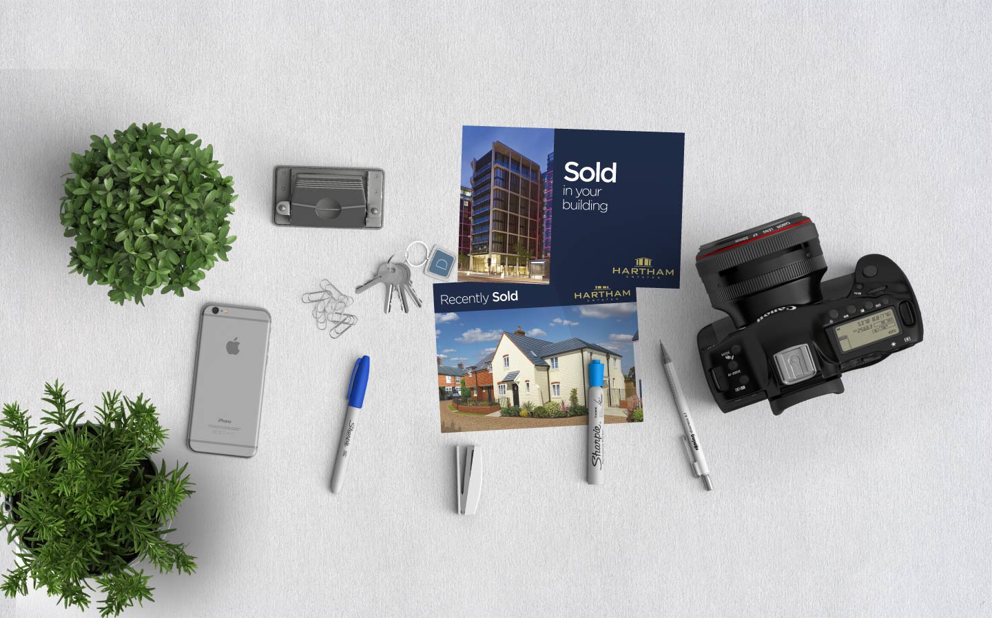 Scarlet Orange - The Team